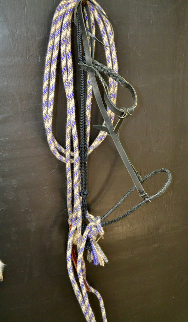 Californian Loping Hackamore with 8 plait leather noseband: black – New ...